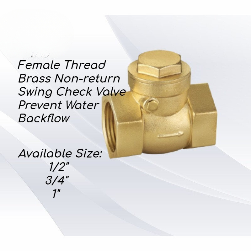 Female Thread Brass Swing Check Valve Prevents Water Backflow | Shopee ...