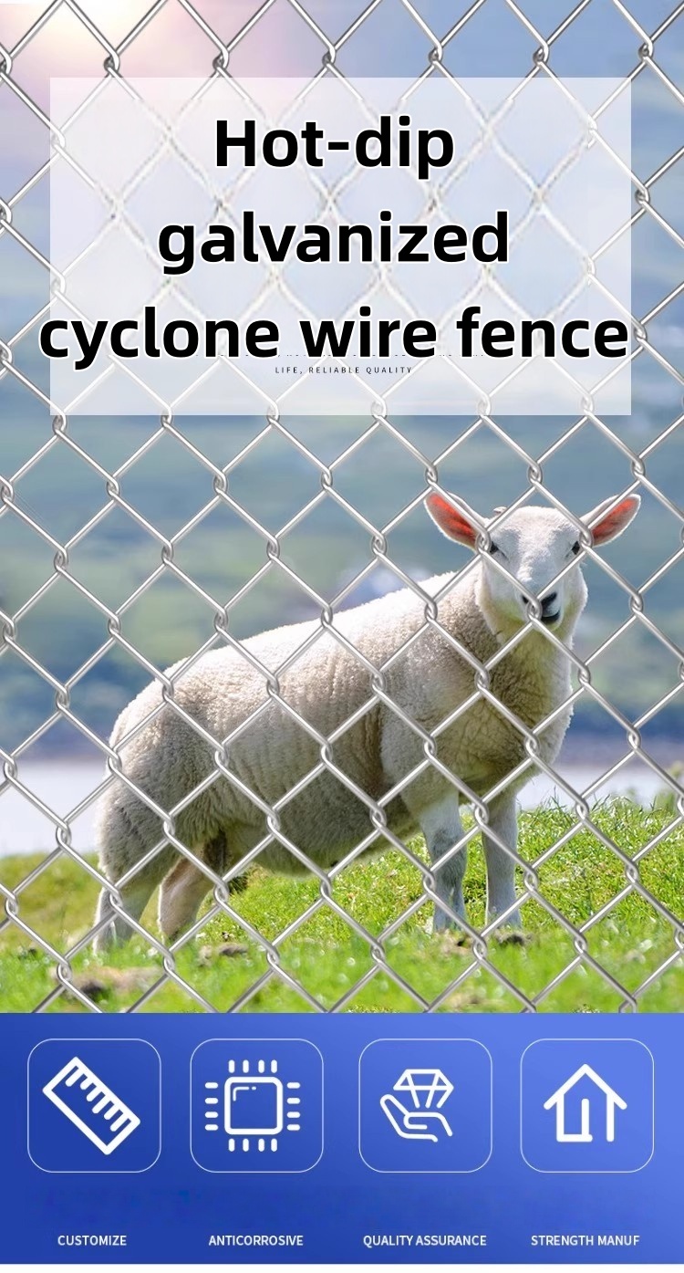2.5mm 10/20m Hot-dip Galvanized Cyclone Wire Fence for Farm Garden Anti ...