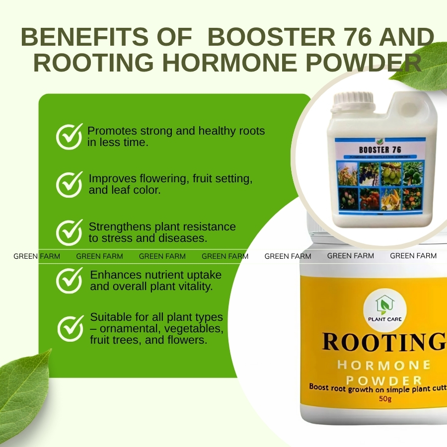 Boost Plant Growth with Booster 76 & Rooting Hormone for Stronger Roots ...