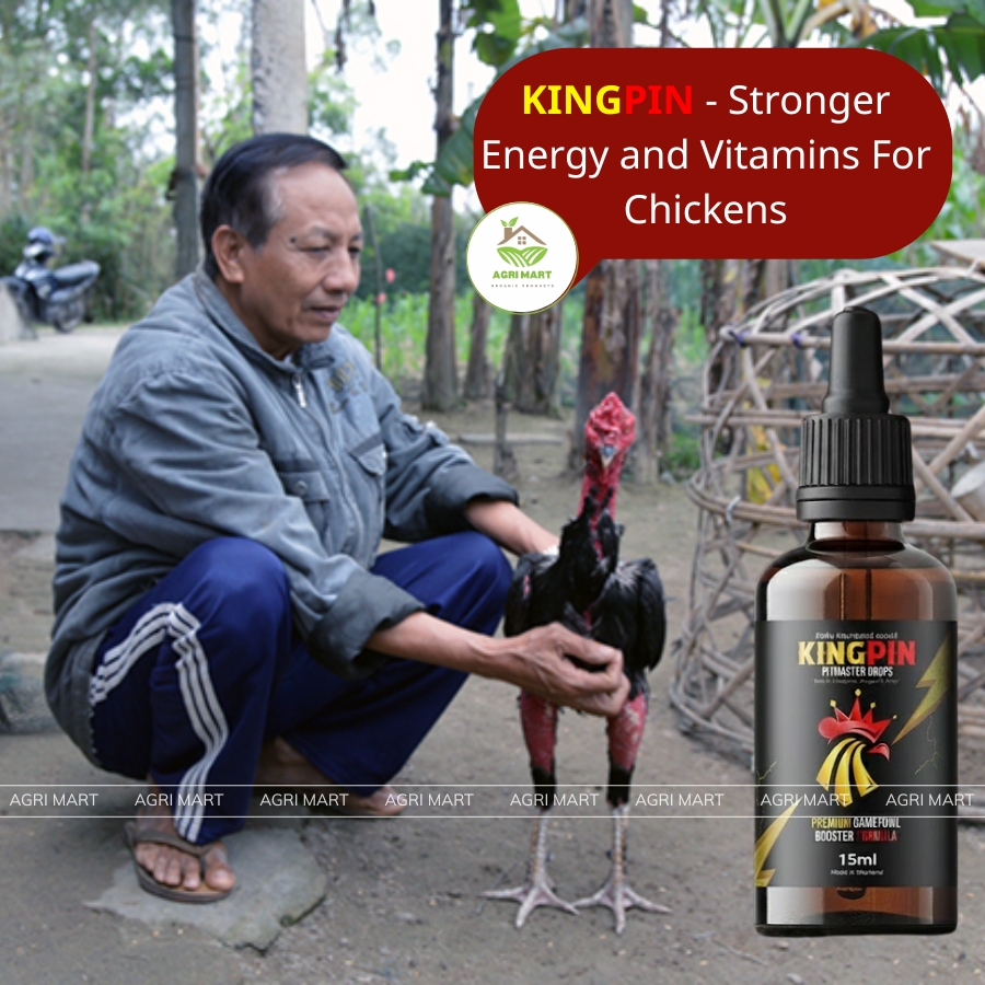 [RECOMMEND] KingPin 15ml – Premium Drops to Boost Energy, Focus, and ...