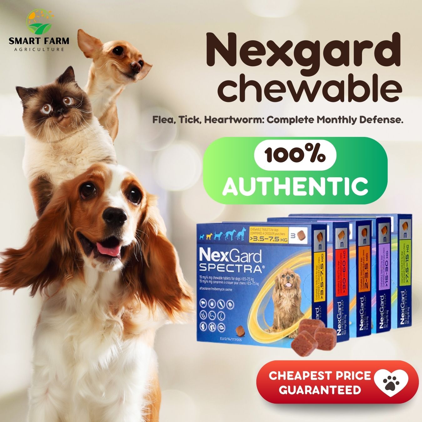 [DISCOUNT] NexGard & NexGard Spectra - All-in-One Flea & Tick Treatment ...