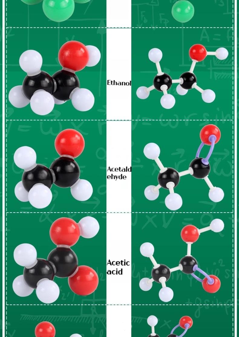 Chemistry ball and stick model Scale diamond group experiment Molecular ...