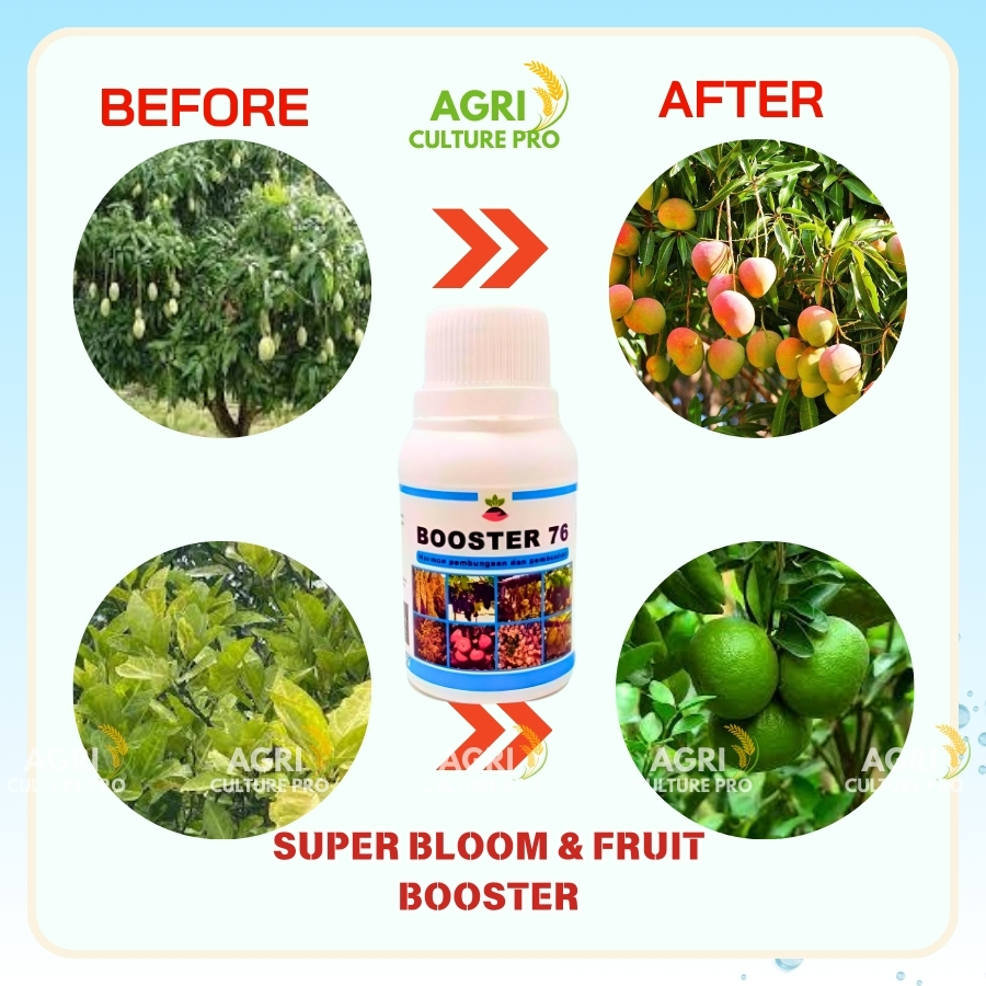 [BEST SELLER] Booster 76 fertilizer for vegetables and fruits boost ...