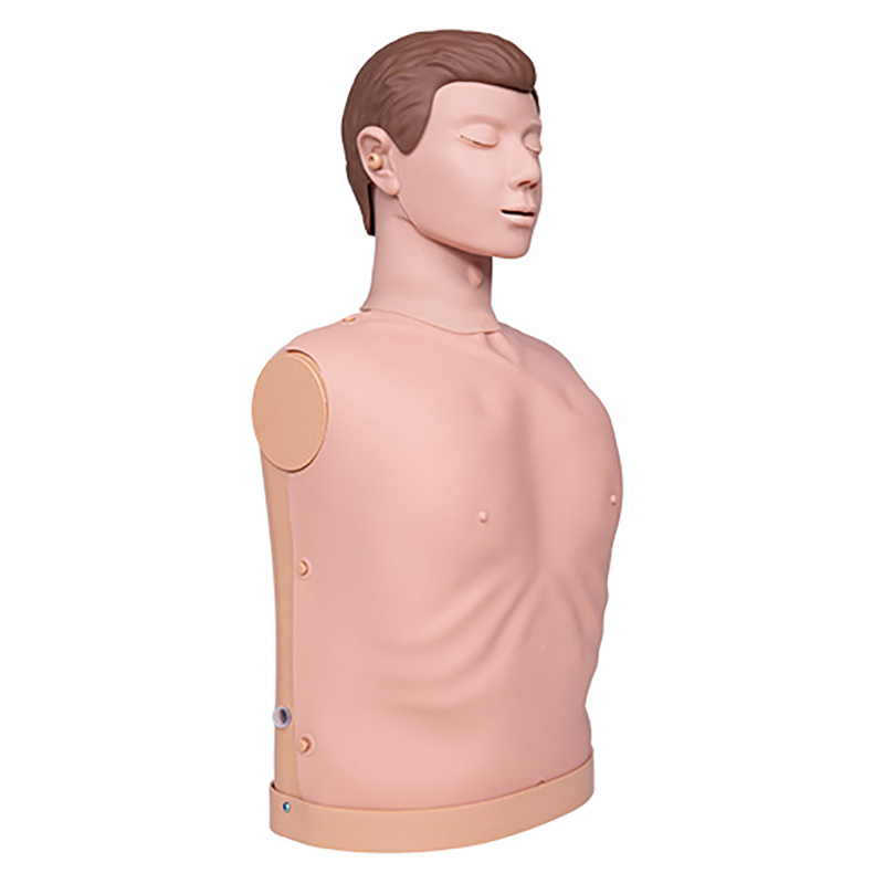 First Aid Training Dummy Manikin Half-body Model for CPR & AED ...