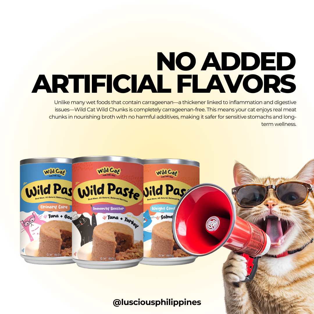 Wild Cat Premium Wild Paste Cat Wet Food Can Organic Cat Wet Food Meal ...