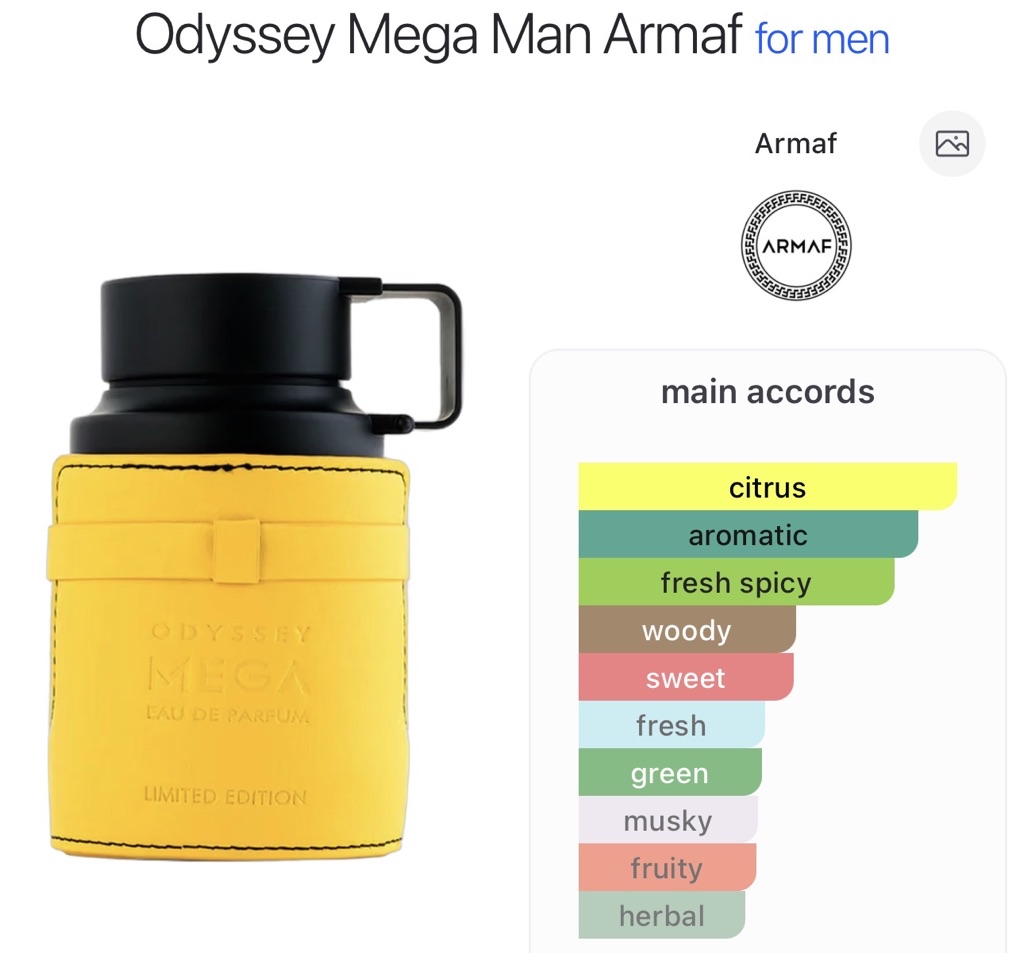 ODYSSEY MEGA MAN BY ARMAF 100ML EDP FOR MEN | Shopee Philippines