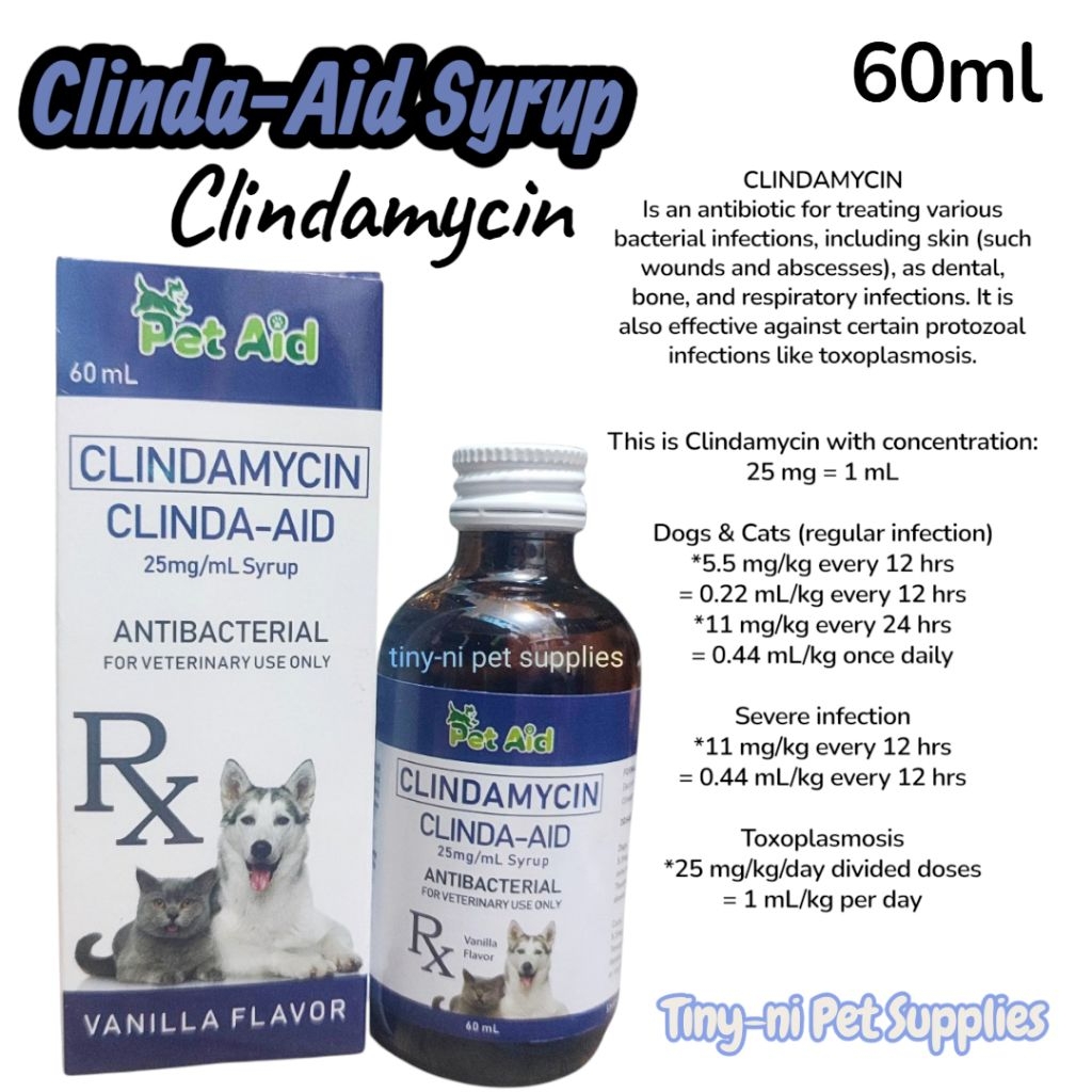 ClindamyPet Syrup for Pet Dogs and Cats|60ml protection against ...