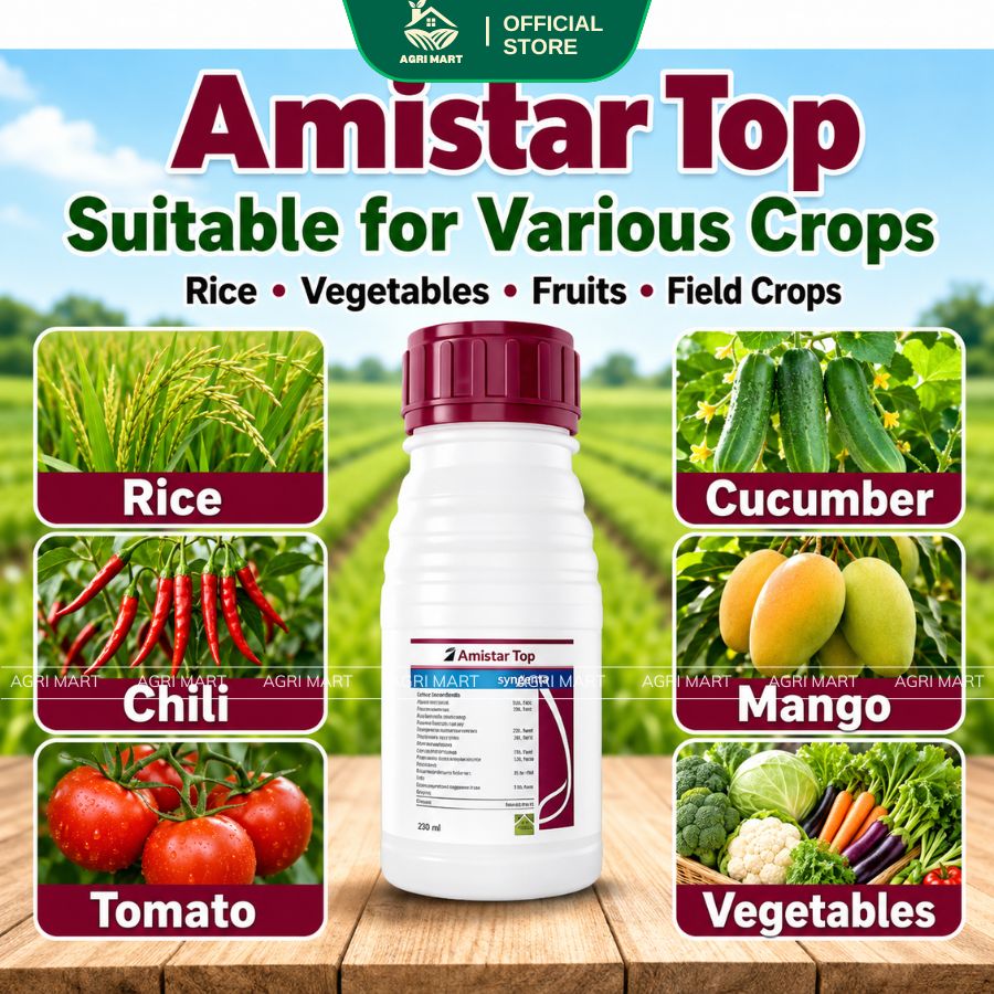 [HOT DEAL] Amistar Top 325SC by Syngenta Dual-Action Fungicide for Rice ...