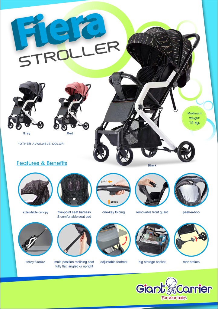 Giant Carrier Fiera Stroller with Trolley Feature, Large Basket, Multi ...