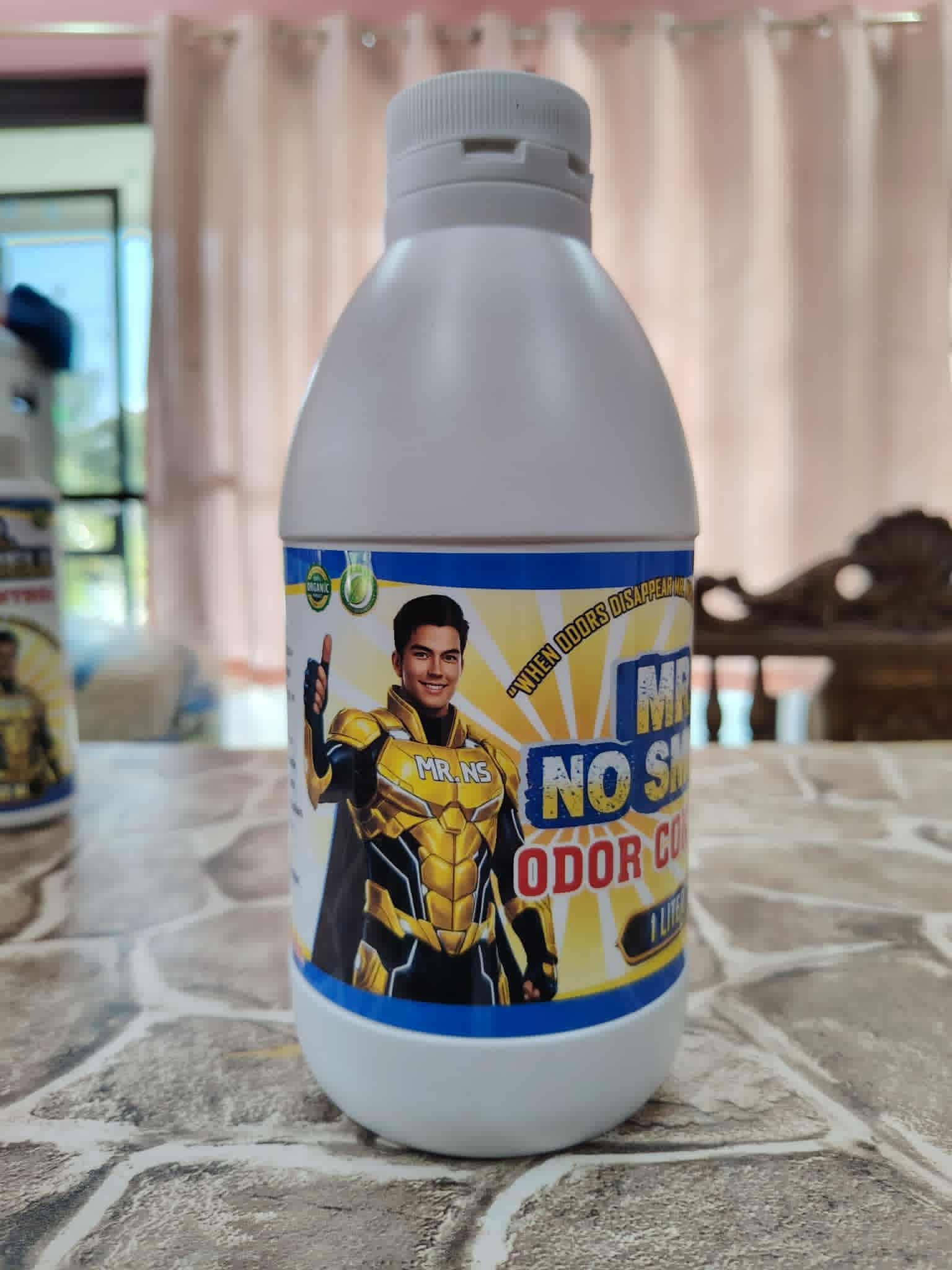Odor Control 1 LITER Mr. No Smell Anti langaw & Disinfectant,Kitchen ...