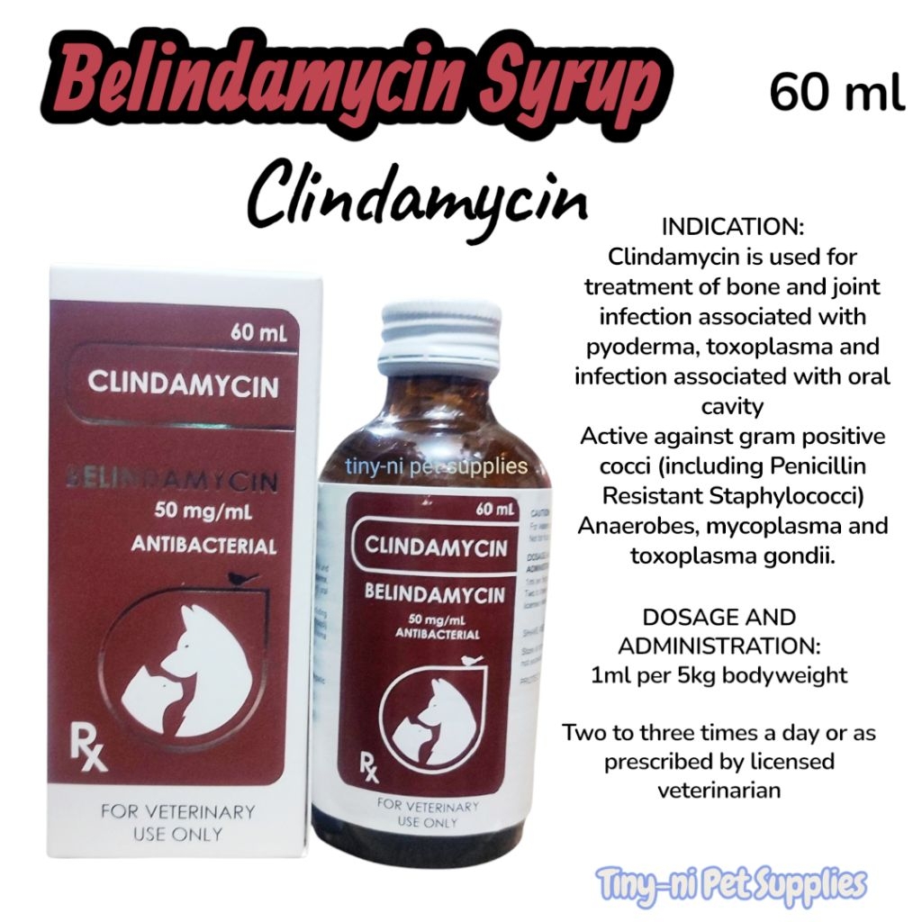 ClindamyPet Syrup for Pet Dogs and Cats|60ml protection against ...