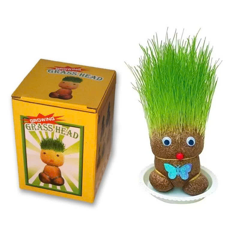 Set of 2 Grass Head Doll Growing Kit – Cute Plant Growing Toys for Kids ...