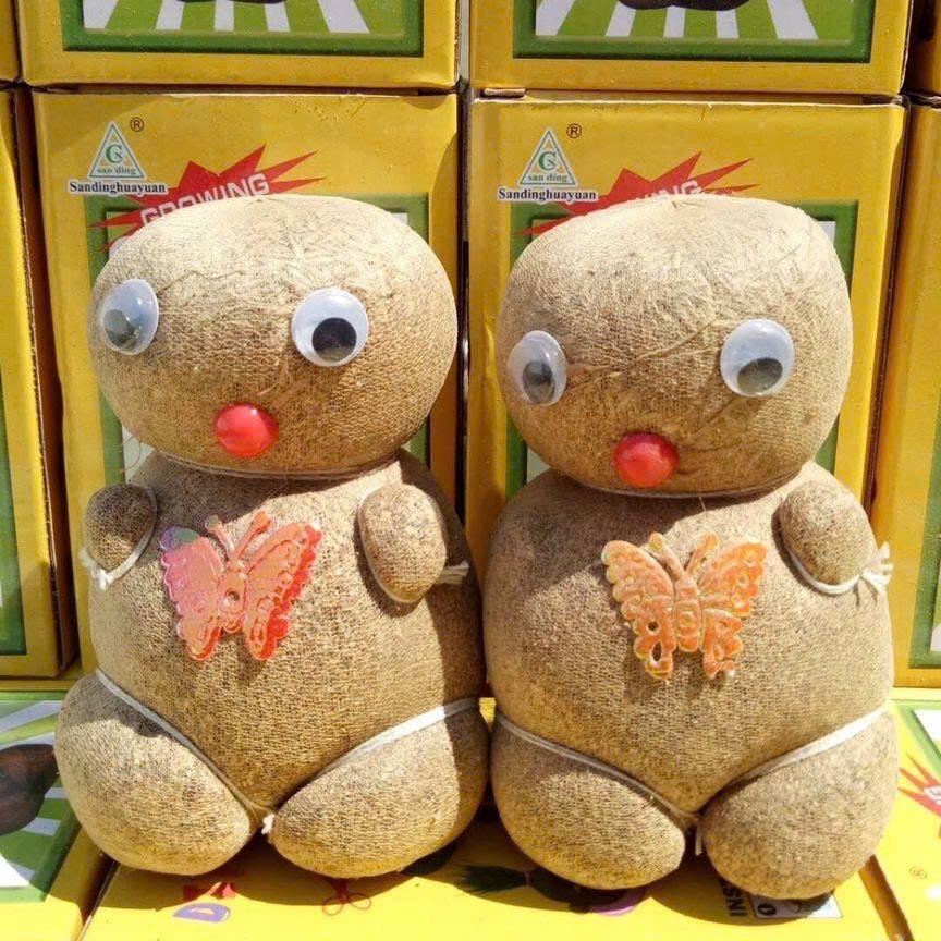 Set of 2 Grass Head Doll Growing Kit – Cute Plant Growing Toys for Kids ...