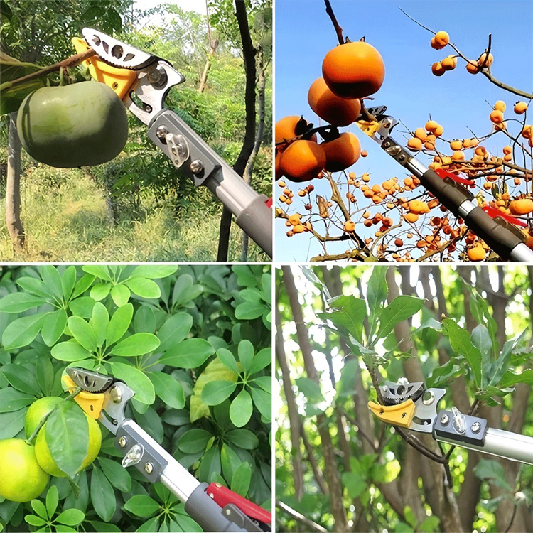 High altitude telescopic fruit harvesting multifunctional fruit tree ...