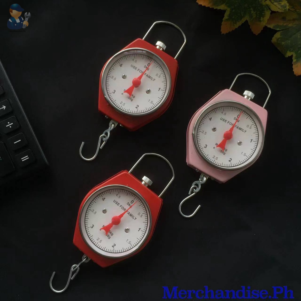Merchandise.Ph 10kg / 5kg Home MINI scales Portable Weighing Scale Home ...