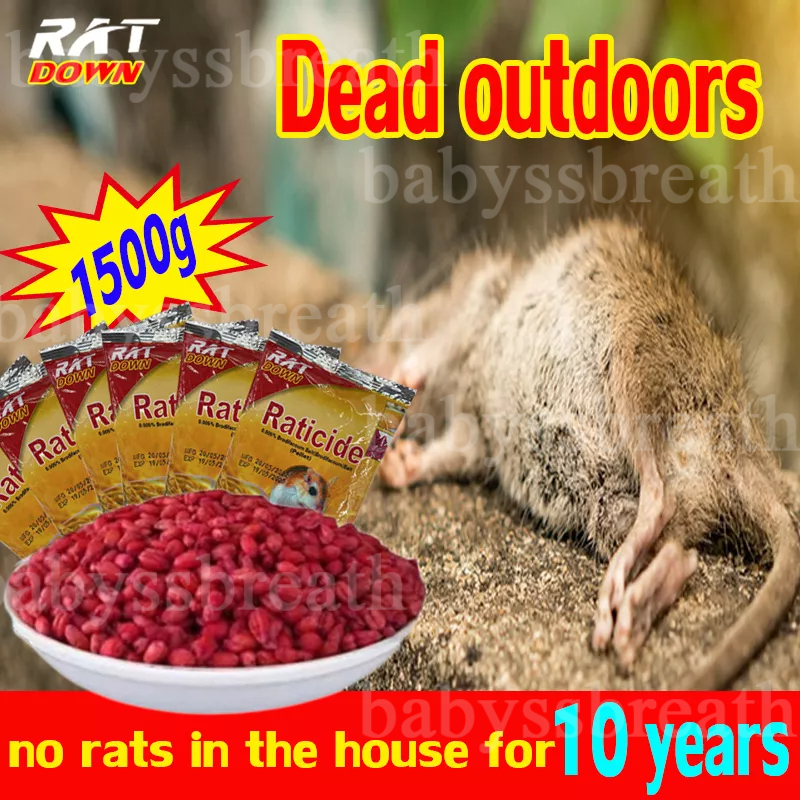 Don't die in the room rat killer poison lure that mice like to eat ...