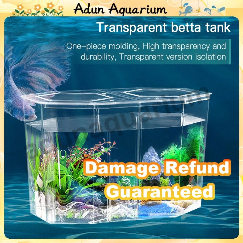 Aquarium Double Betta Fish Tank Dual BettaHex Clear | Shopee Philippines