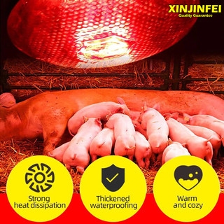 Golden Insulated Brooder Lampshade Pig Heat Lamp Shade Husbandry Pet ...