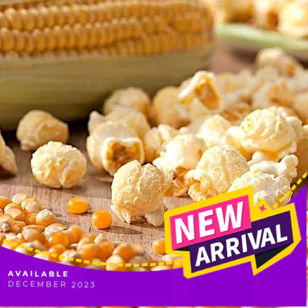 Mushroom Popcorn Seeds Rare Popcorn Seeds Heirloom Popcorn Seeds ...