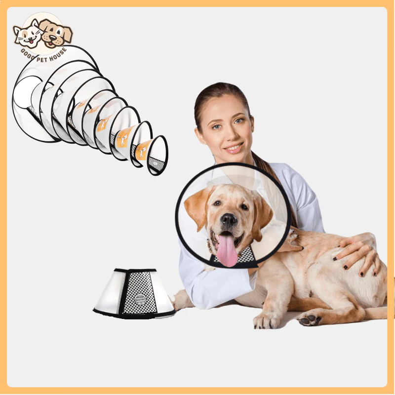 Pet Elizabeth Cone E-Collar Cat Dog Cone Adjustable Safety Collar Pet ...
