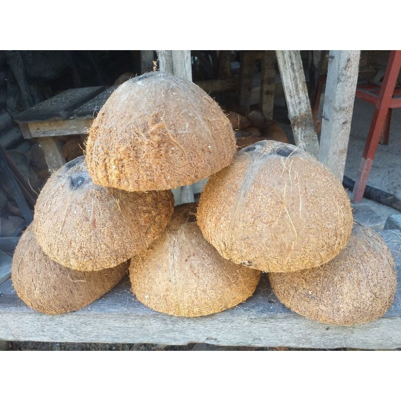 Coconut Shell, unpolished, 1 kg | Shopee Philippines
