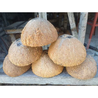 Shop coconut shell for Sale on Shopee Philippines