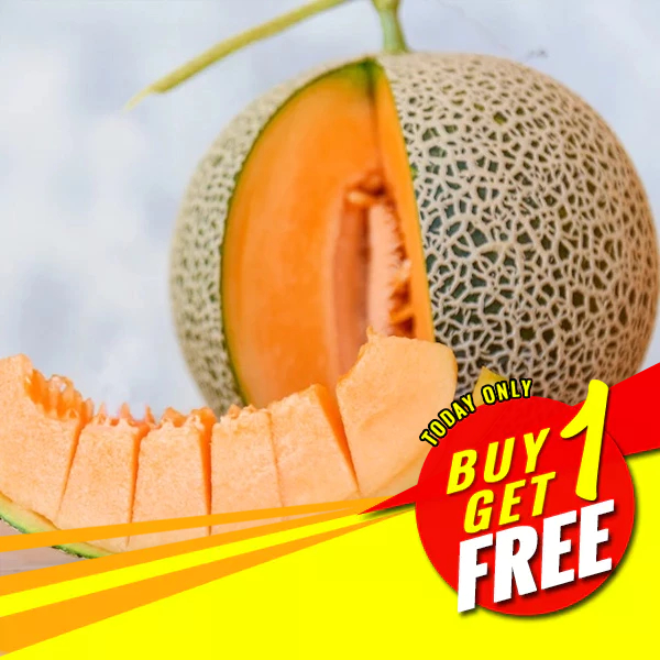Mini Melon Seeds- Sweet Mini Camille Melon Seeds - Rare Fruit Seeds ...