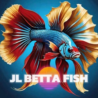 Shop betta fish for Sale on Shopee Philippines