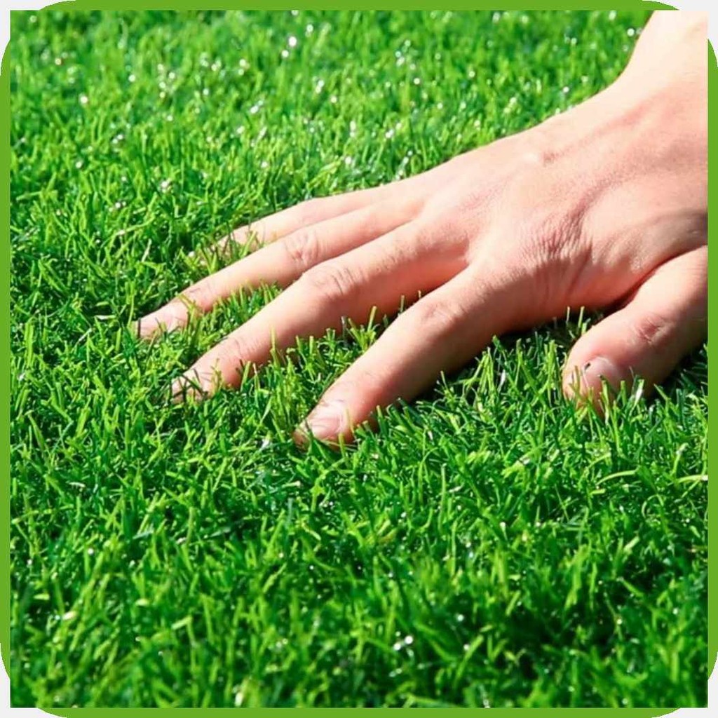 Artificial#Dc{Grass#ry&Mat+MN@qA@Carpet+Dc@Thick(2mx1m) | Shopee ...