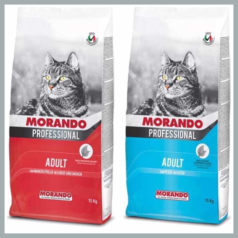 MORANDO*CPROFESSIONAL?hgCAT