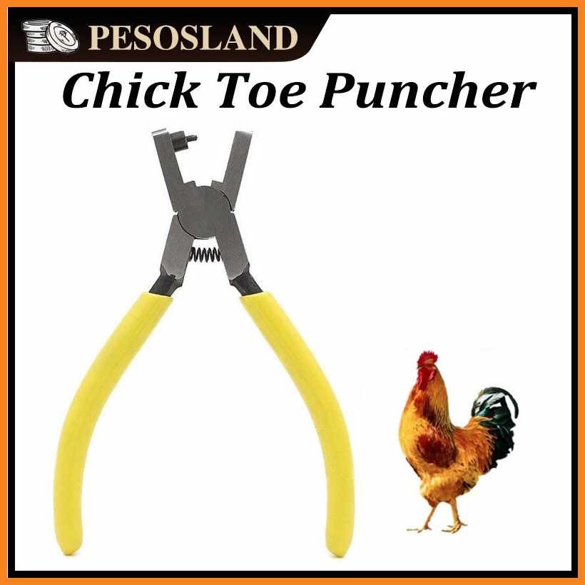 Universal`Q%2mm*zChick(k|Toe=q|Puncher=Mw|Rooster=pw|Toe=OB|Puncher=ex ...