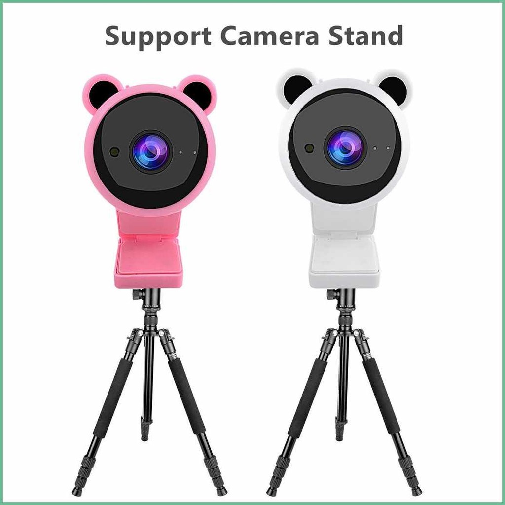 Pink(VO)Webcam