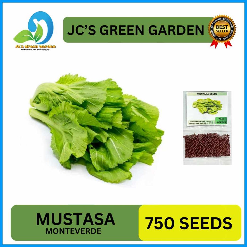 VALUE%Y>PACK/m'(750-fD!SEEDS)[Vz!MUSTASA[Bg!SEEDS/MONTEVERDE[LJ!VARIETY ...