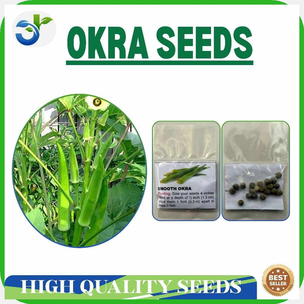 Okra Je}Green>Xu}/>Lo}easy>ra}to>yD}plant / 20seeds - (1pack) | Shopee ...