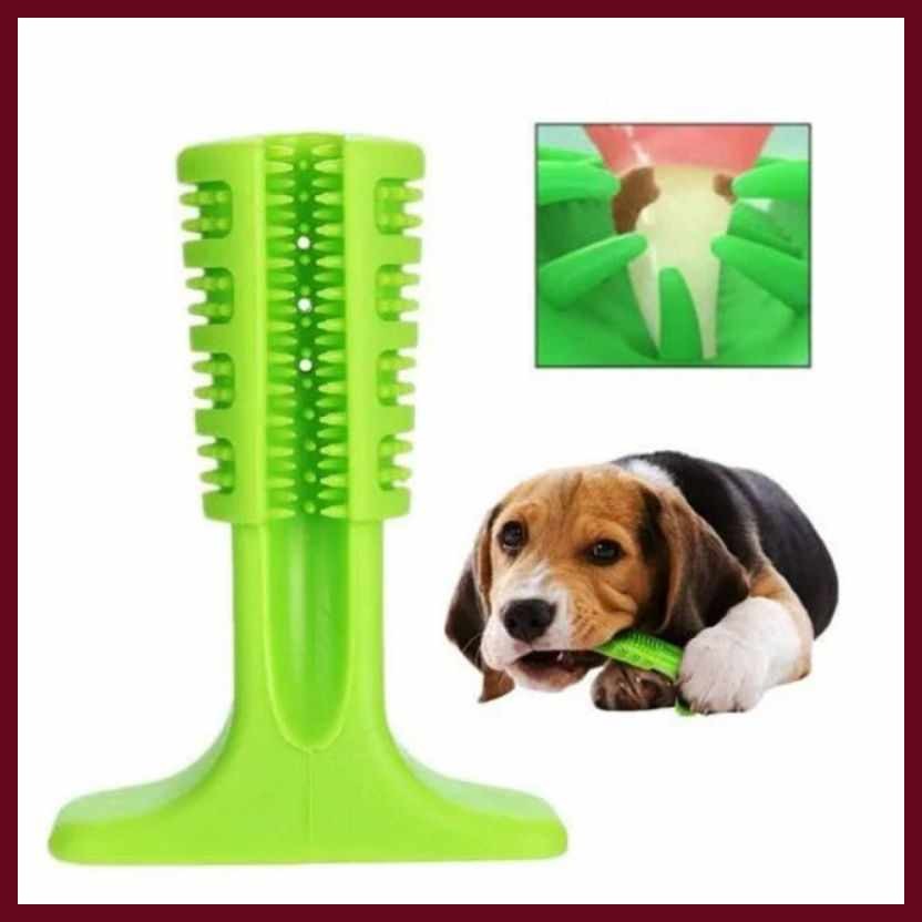 Pet+K=Chew[u)Toy]fw.Dog$SS/toothbrush$NN/Brushing$L/Puppy$n/Teething$X ...