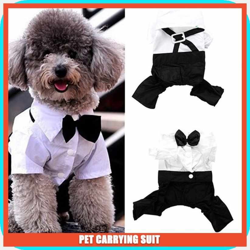 Strap`tGSmall/O}Suit)sd>Teddy)FO>Dog)OX>Clothes)jJ>Pet)xW>Wedding)ev ...