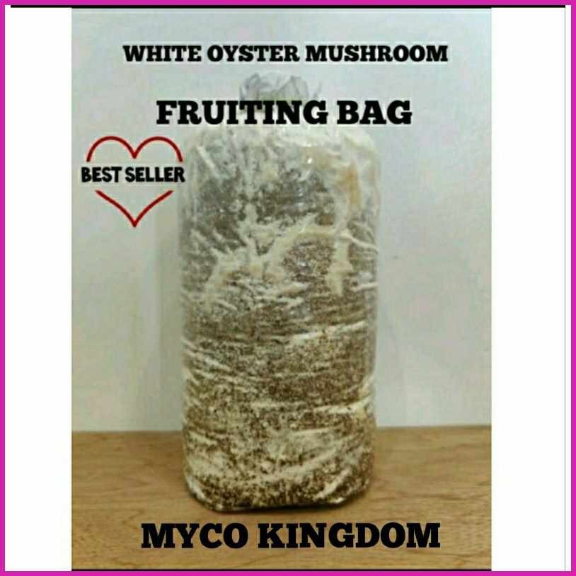 WHITE$k*OYSTER,WU^MUSHROOM>l)FRUITING}W)BAG}m)10BAGS}P)+}k)1~G*BAG FREE ...
