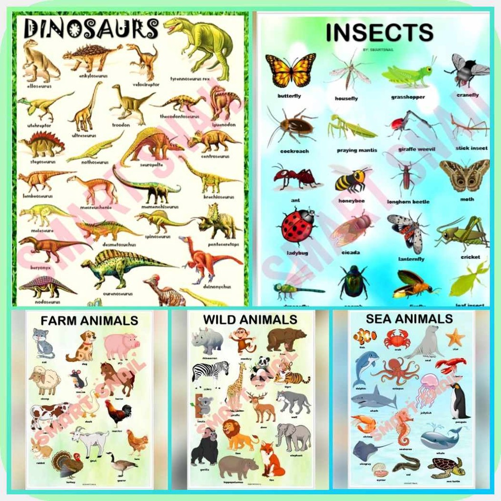 Laminated(HK?ANIMALS,`C&xw:INSECTS`X&and`h&DINOSAURS`R&Educational`T ...