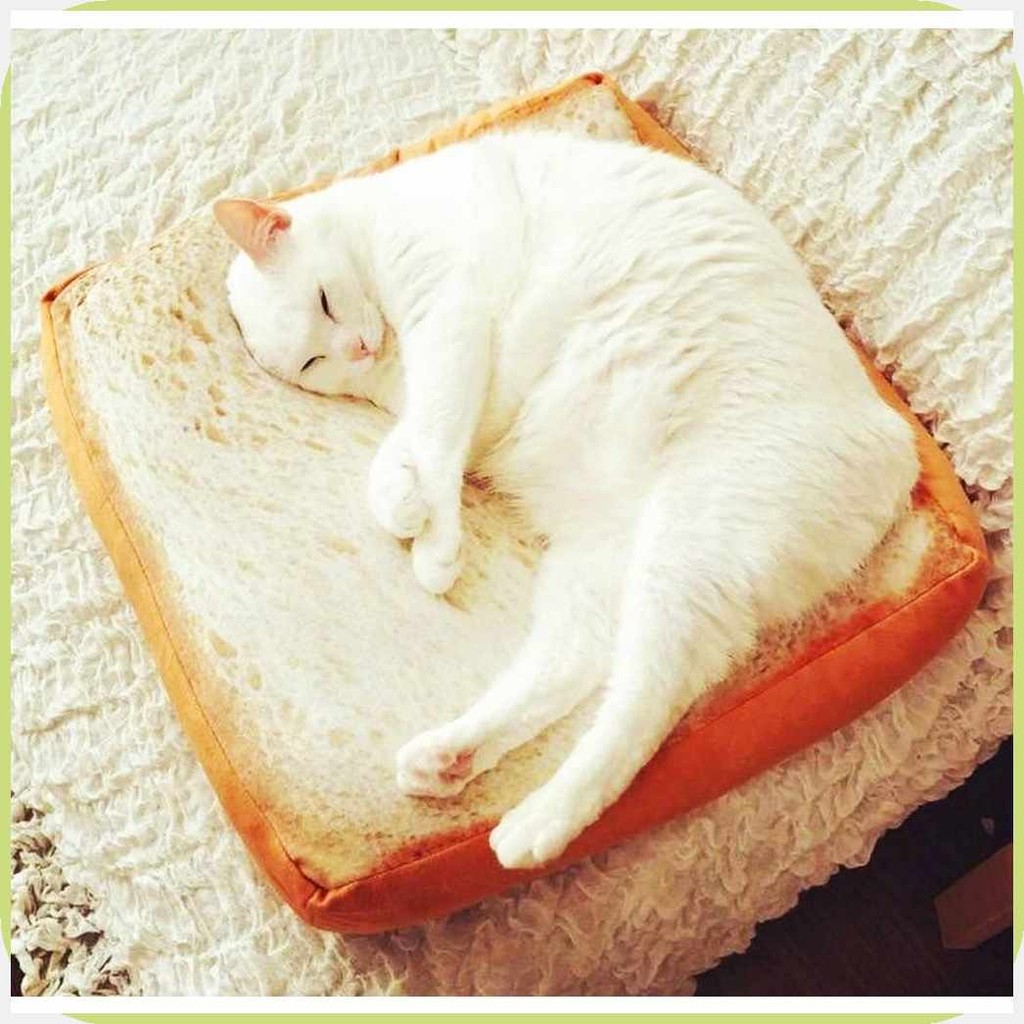 Pet?qum$Dog~h?Cat*O?Sliced*R?Toast*S?Bread*l?Mattress*h?Bed | Shopee Philippines