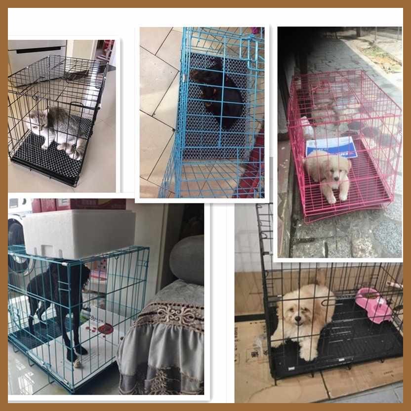 S@v>M}e'L,Un!Dog[M!Cage[I!with[k!Poop[P!Tray[D!Heavy Duty Pet ...