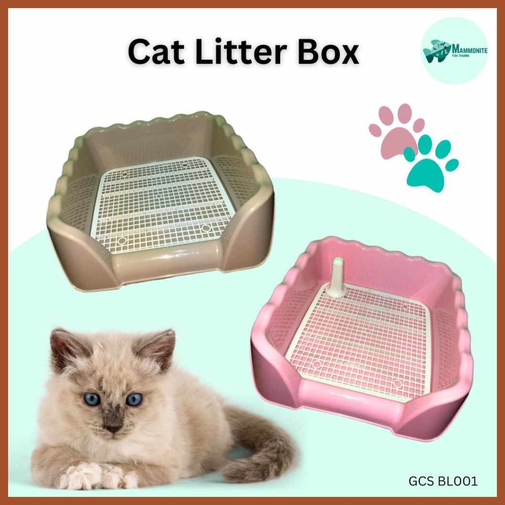 Pet>P{Cat.cE;Kitten+p@f@F!Litter[d!Box[D!Training[y!Pad Potty Small ...