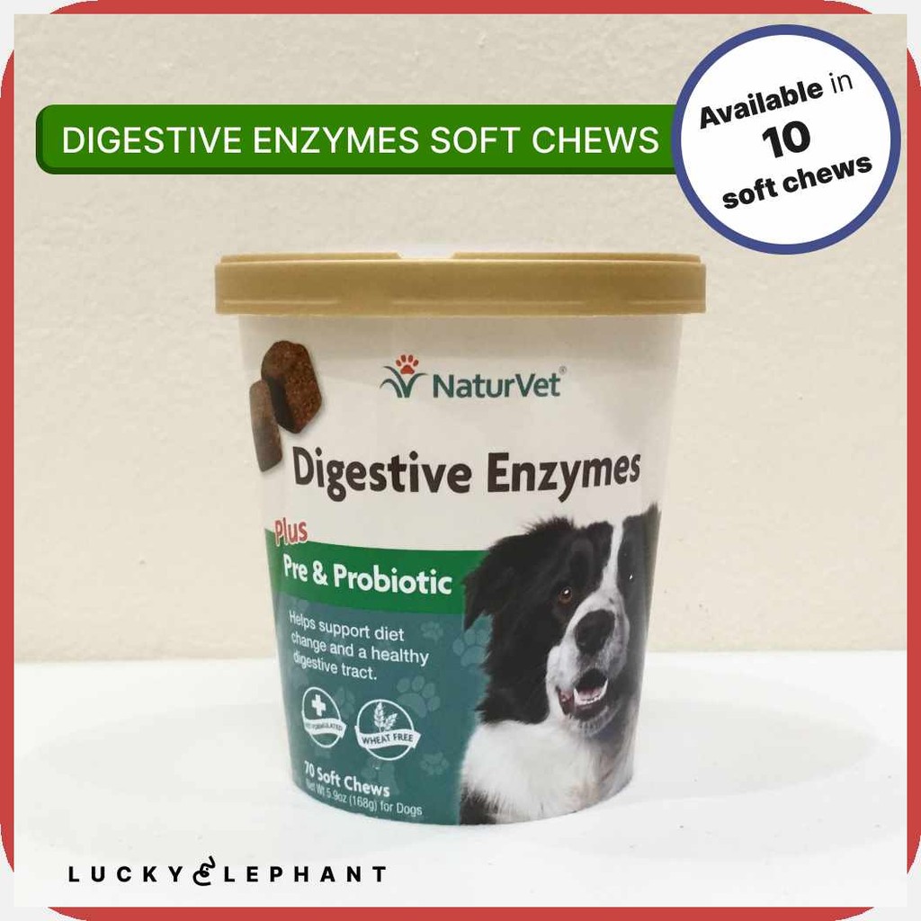 NaturVet)I%Digestive^mP{EnzymeslvPlus-bPre,j[and,O[Probiotic-Zfor-NDogs ...