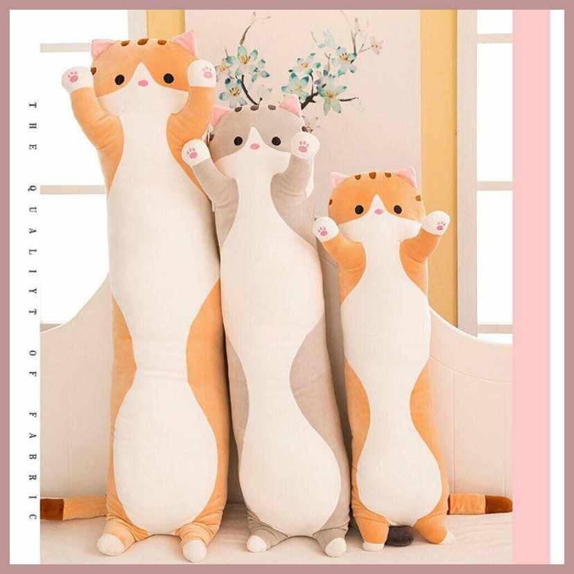 Long*cH|Cat/q