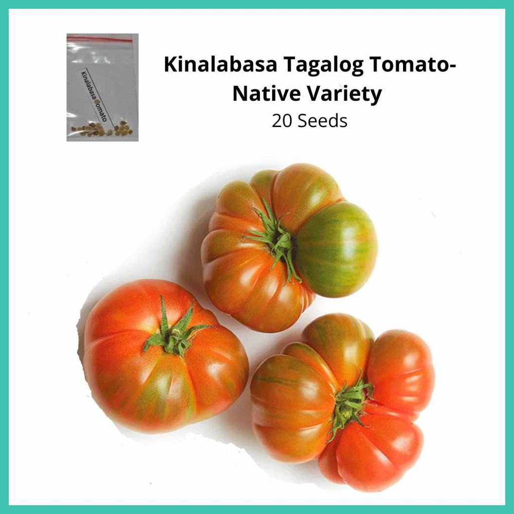 Kinalabasa^X#Kamatis(gm%m_Tagalog:D`Tomato-;V`Native;m`variety;C`seeds ...