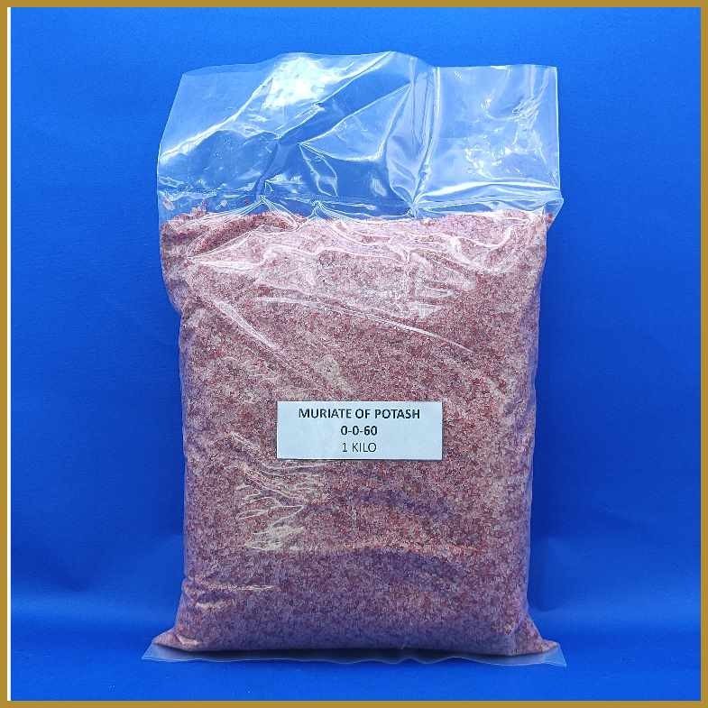 MURIATE]I>OF,oB]POTASH>P)FERTILIZER}H)NPK}D)0-0-60}T)(1KILO) | Shopee ...