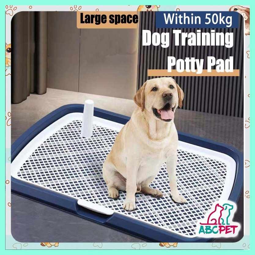Local.uT#ShopLarge]Kl#Spac]Io#Dog]uo#Training]Yl#Potty]Ec#Pad^iU$Pet^f ...