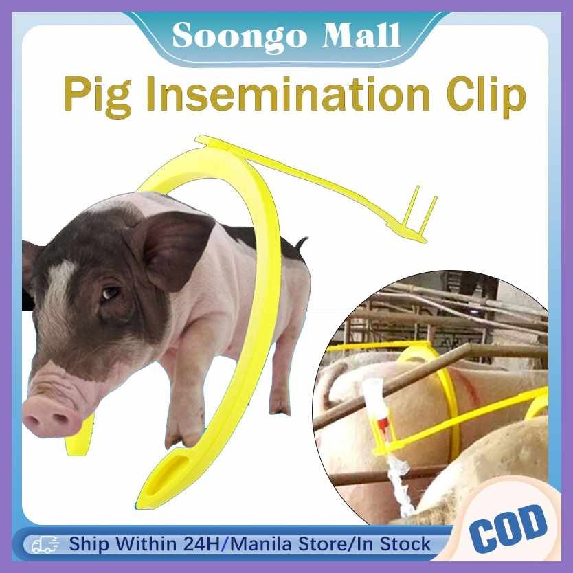 Pig[zC]oi,Insemination}ht>Clip)c>Holder*A?Sows*R?Insemination*g?Clamp*u ...