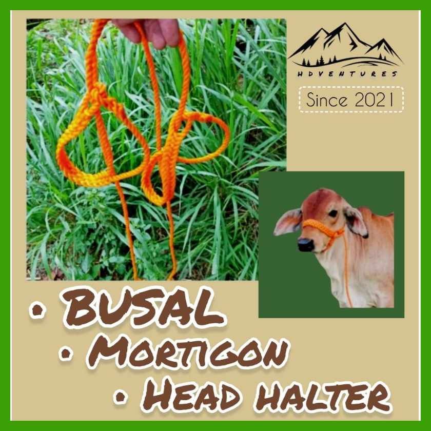 BUSAL:r!/}uo}MORTIGON}BA)/}Ar)SAKIMA}B)/}a)HEAD}J)HALTER}w) para sa ...