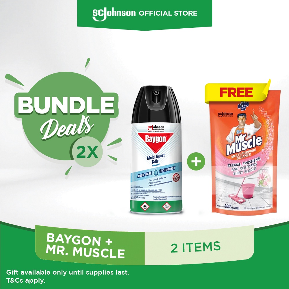 Baygon Multi Insect Killer Water-Based 300ml - Free Mr. Muscle | Shopee ...