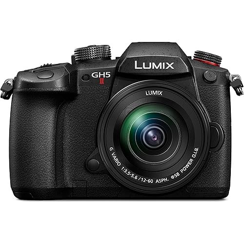 Panasonic Mirrorless SLR Camera Lumix GH5M2 Lens Kit with Standard Zoom ...